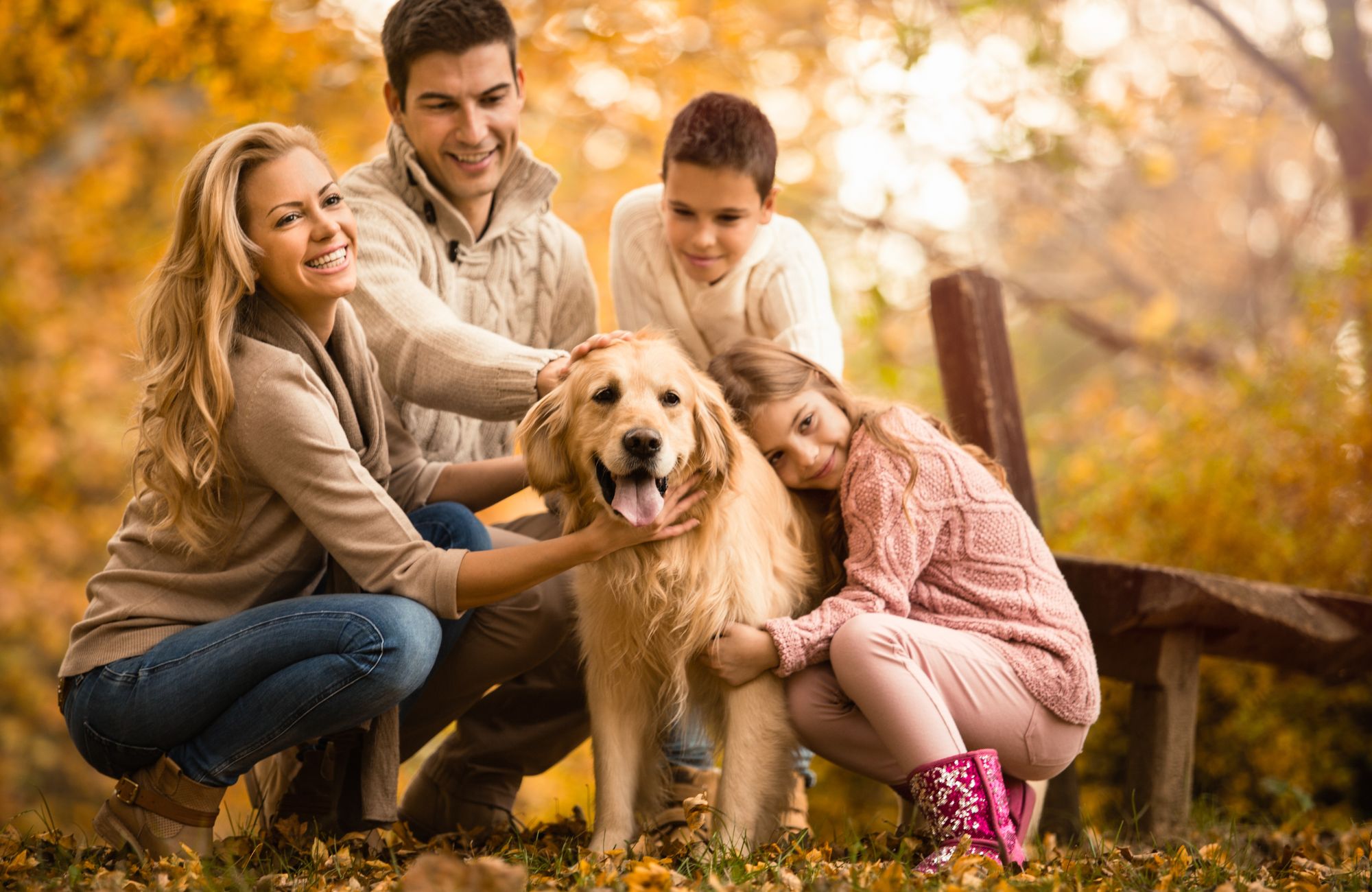 Heart Disease In Dogs: Signs To Watch And How It’s Treated | Ridgefield ...